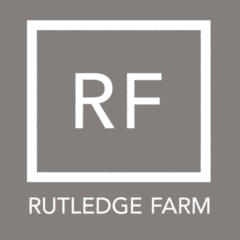 Connect With The Best Equestrian Opportunities